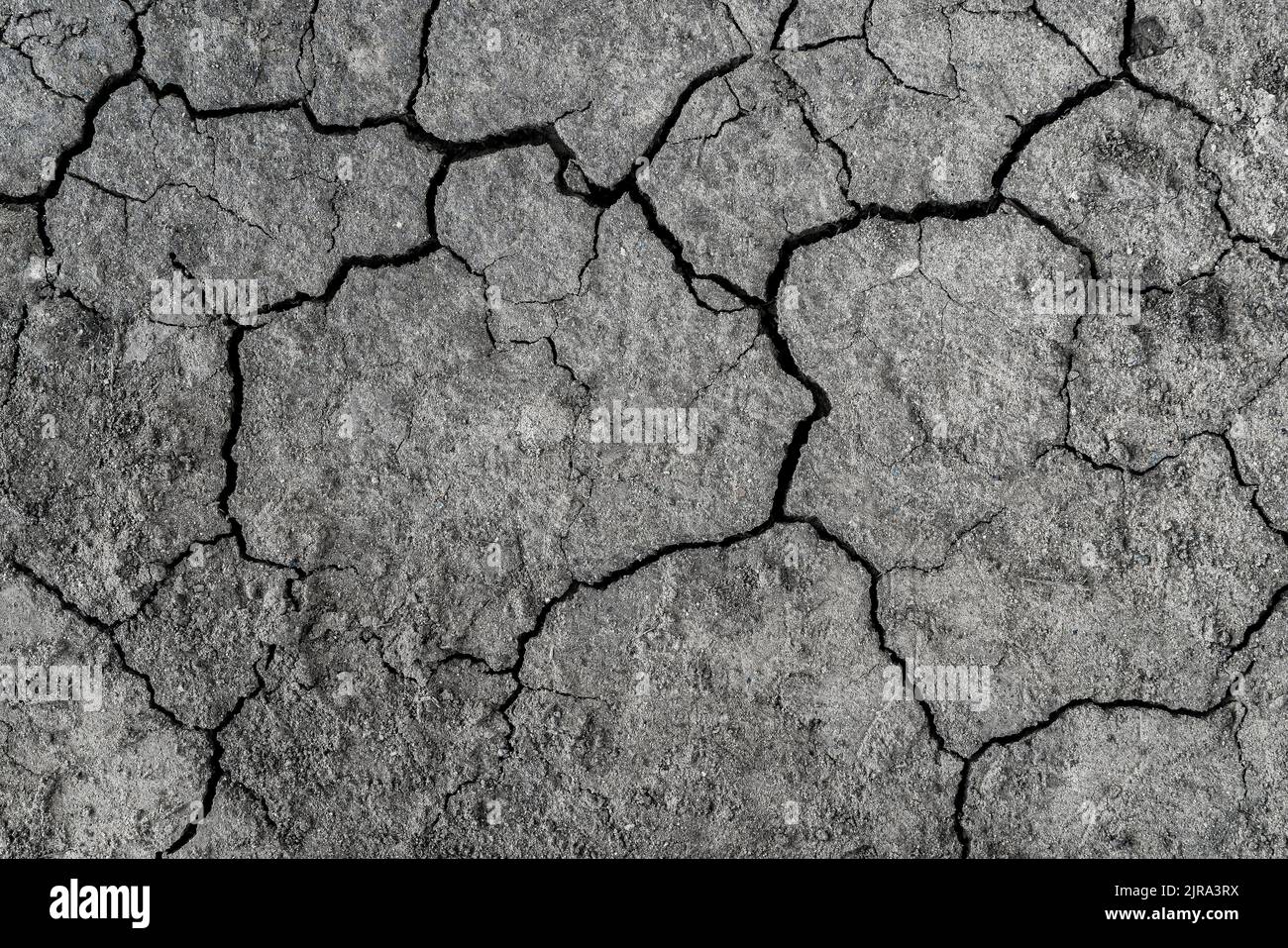 Texture of gray dry cracked earth. The concept of drought, global ...