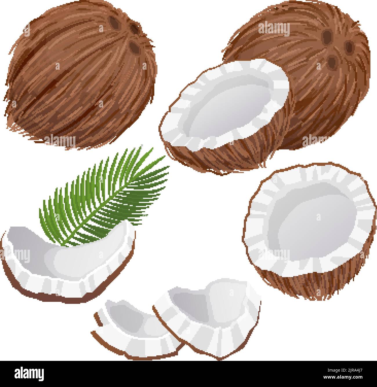 coconut coco milk fruit set cartoon vector illustration Stock Vector ...