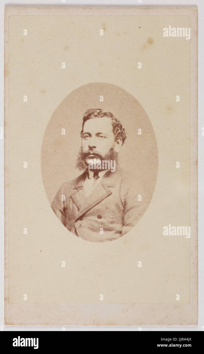 Man with a beard, 1860s-1870s, Napier, by Samuel Carnell Stock Photo ...