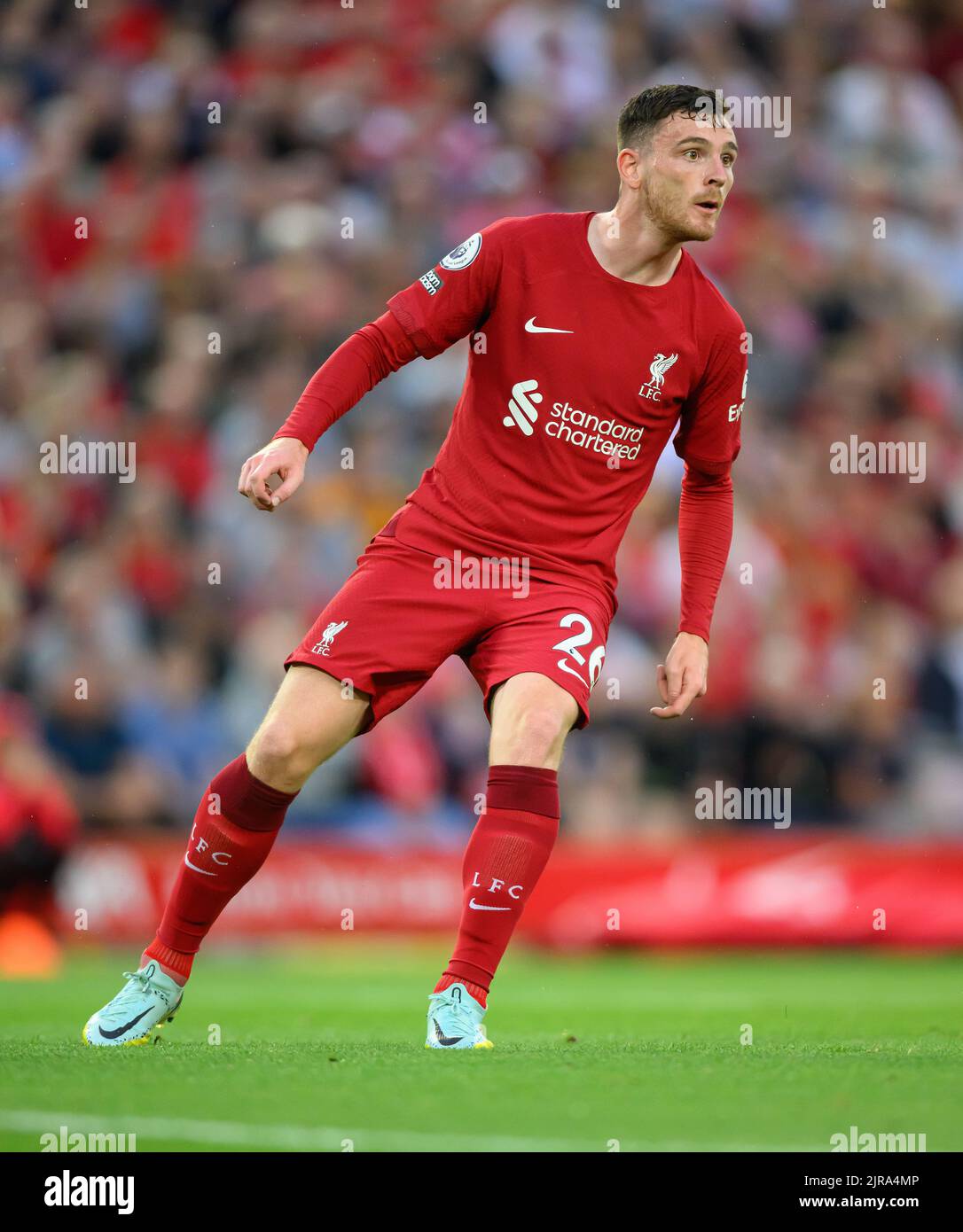 15 aug 2022 liverpool hi-res stock photography and images - Alamy
