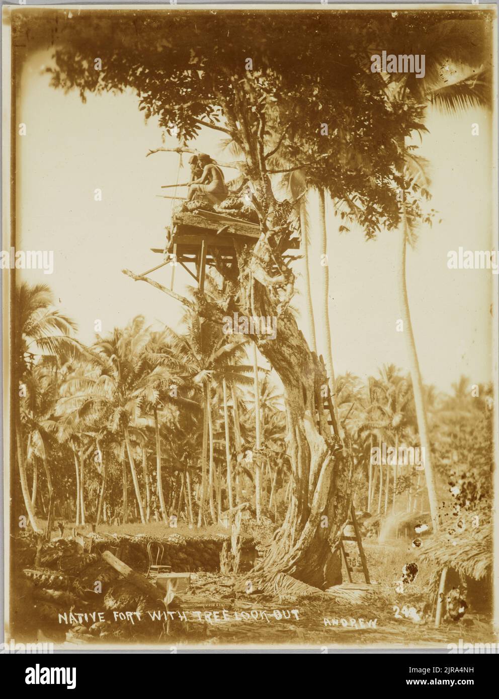 Native fort with tree lookout, mid to late 1890s, Smoa, by Thomas ...