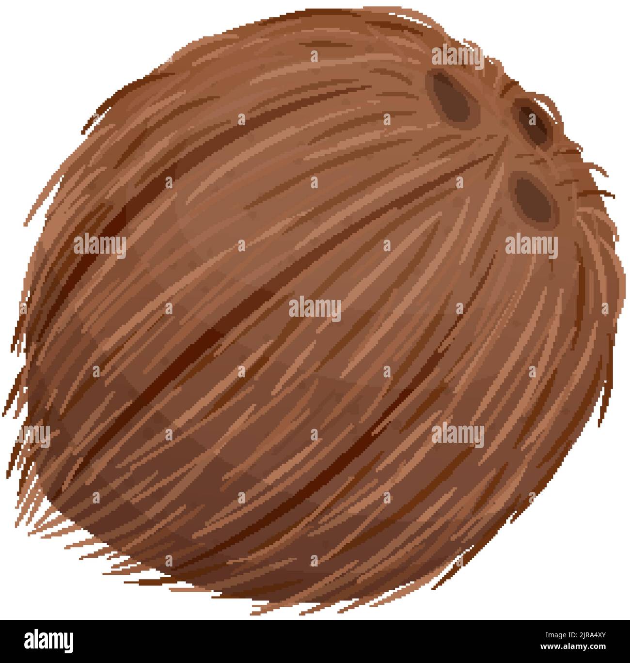 brown coconut fruit cartoon vector illustration Stock Vector Image ...