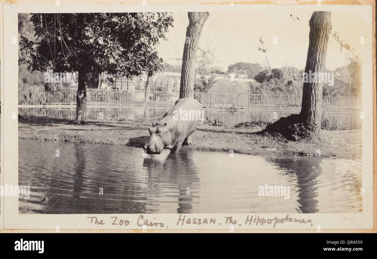 The zoo, Cairo - Hassan the hippopotamus. From the album: Photograph ...