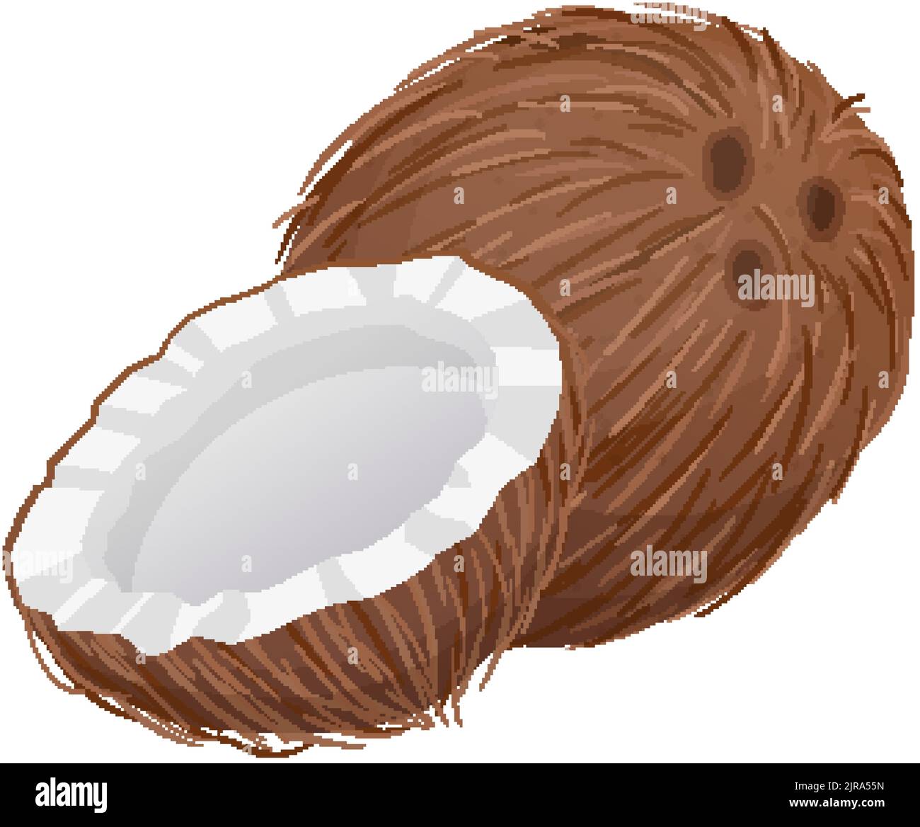 coconut cut cartoon vector illustration Stock Vector Image & Art - Alamy