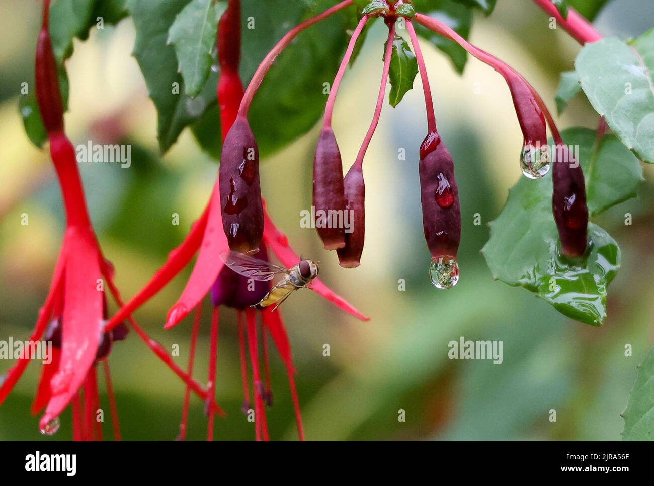 Mild water temperature hi-res stock photography and images - Alamy