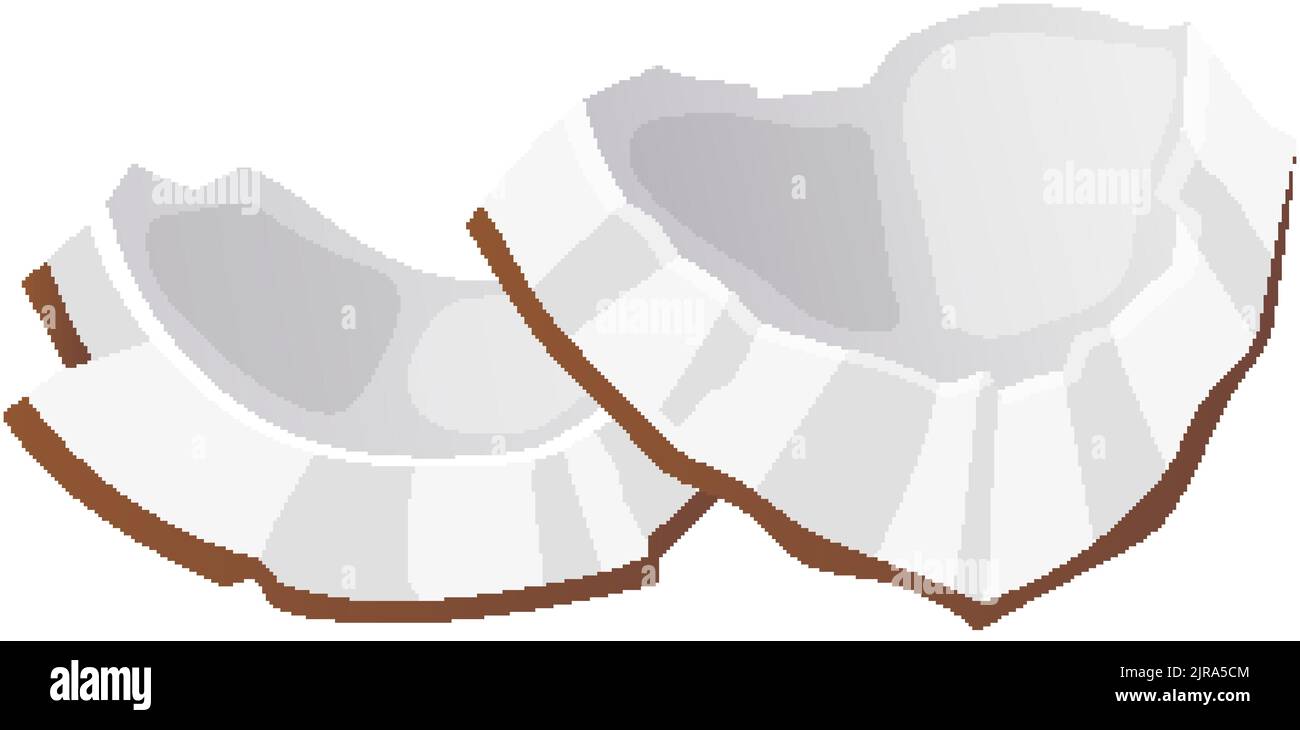 coconut white cartoon vector illustration Stock Vector Image & Art - Alamy