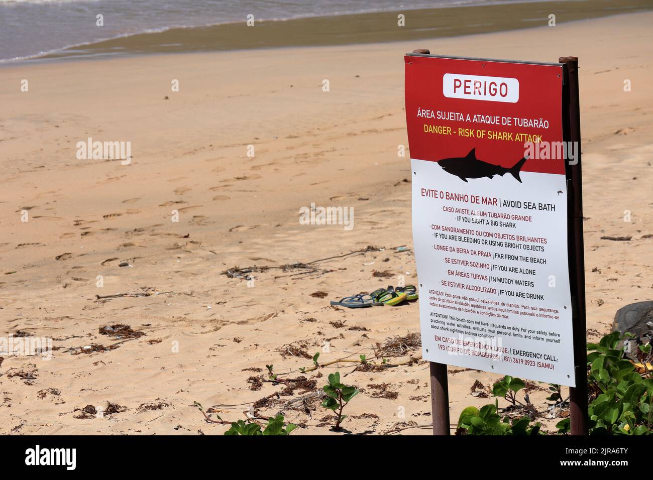 Shark attack advisor board at Praia do Sueste beach, Fernando de ...