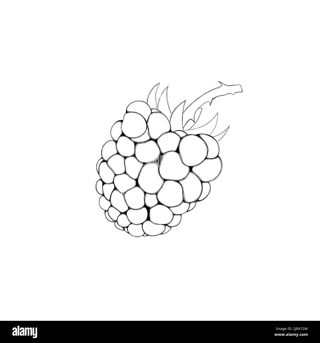 blackberry berry - a template for a children's coloring book, a ...