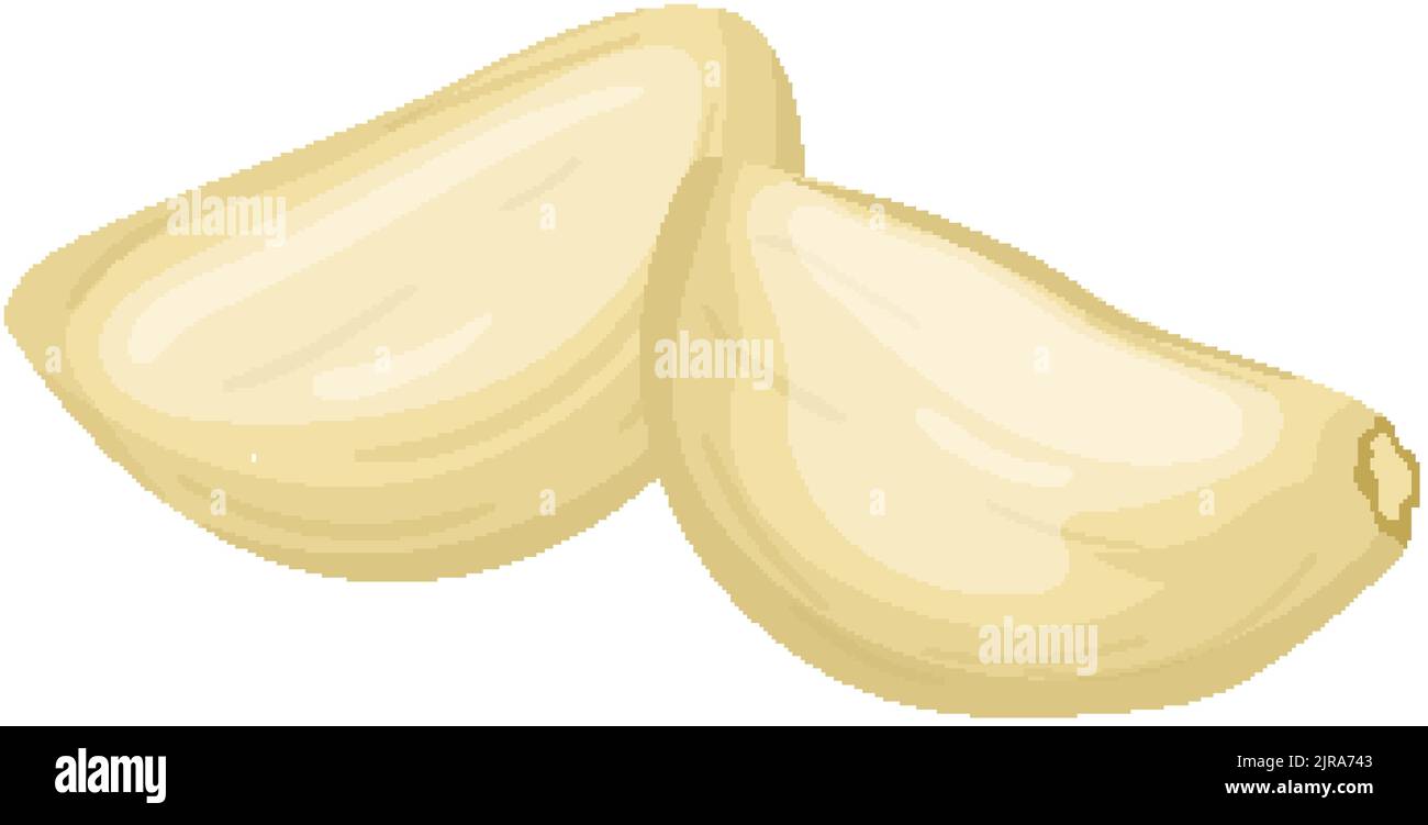 Garlic Cloves Peeled Cartoon Vector Illustration Stock Vector Image And Art Alamy 