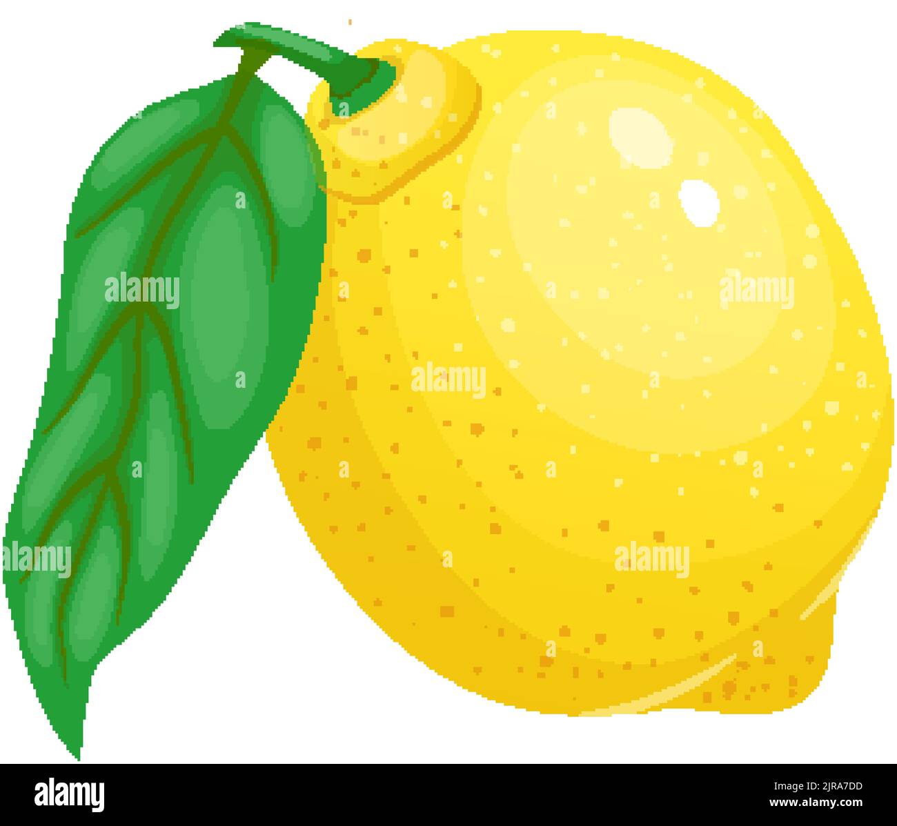 Orange fruit macro view Stock Vector Images - Alamy