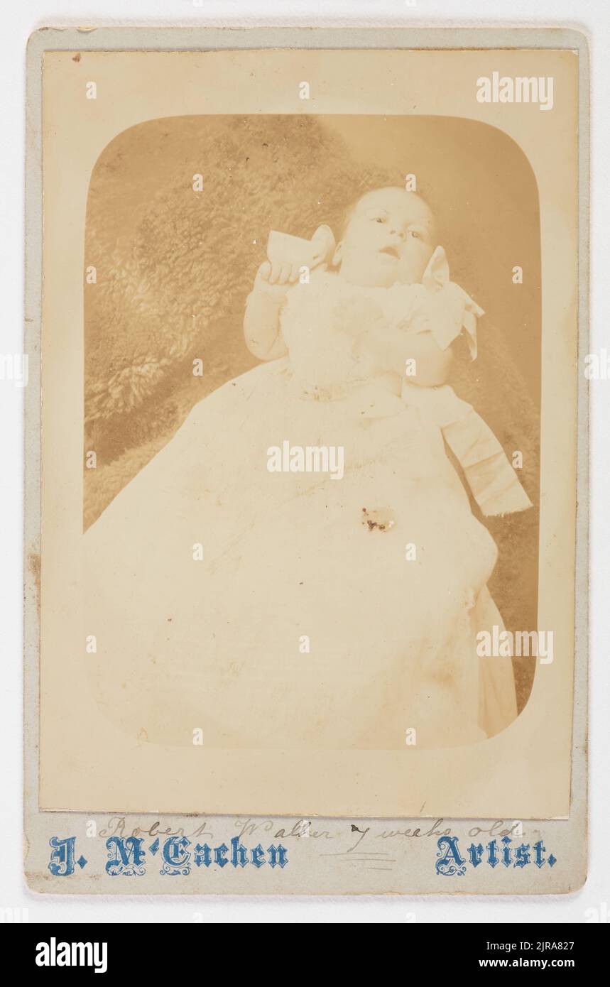 Untitled, 1880s, New Zealand, by John McEachen Stock Photo - Alamy