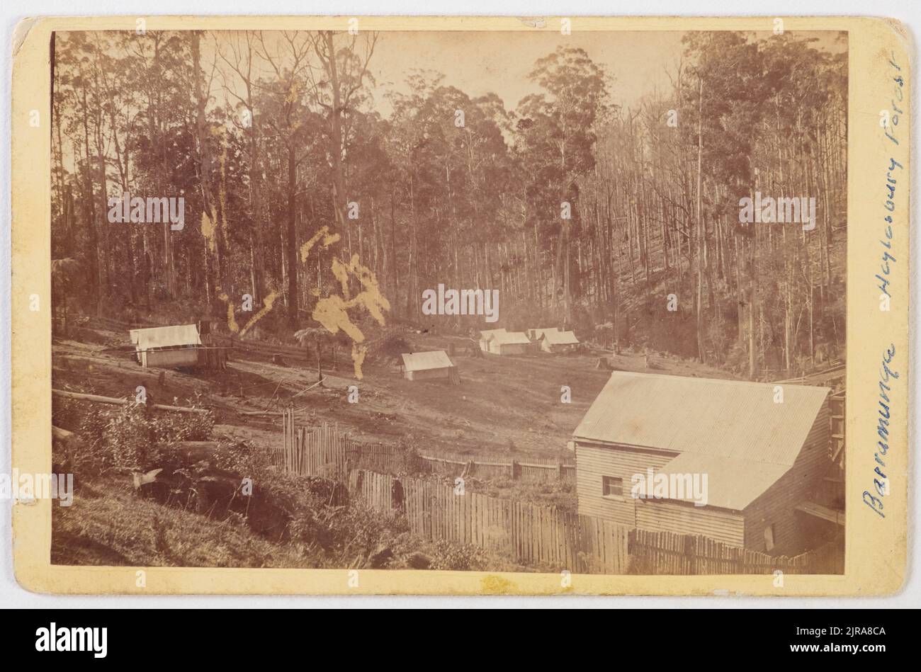 Barramunga, Haylasbury Forest, early 20th century, Victoria, maker ...