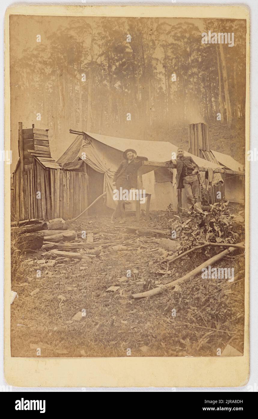 Untitled, early 20th century, New Zealand, maker unknown Stock Photo ...