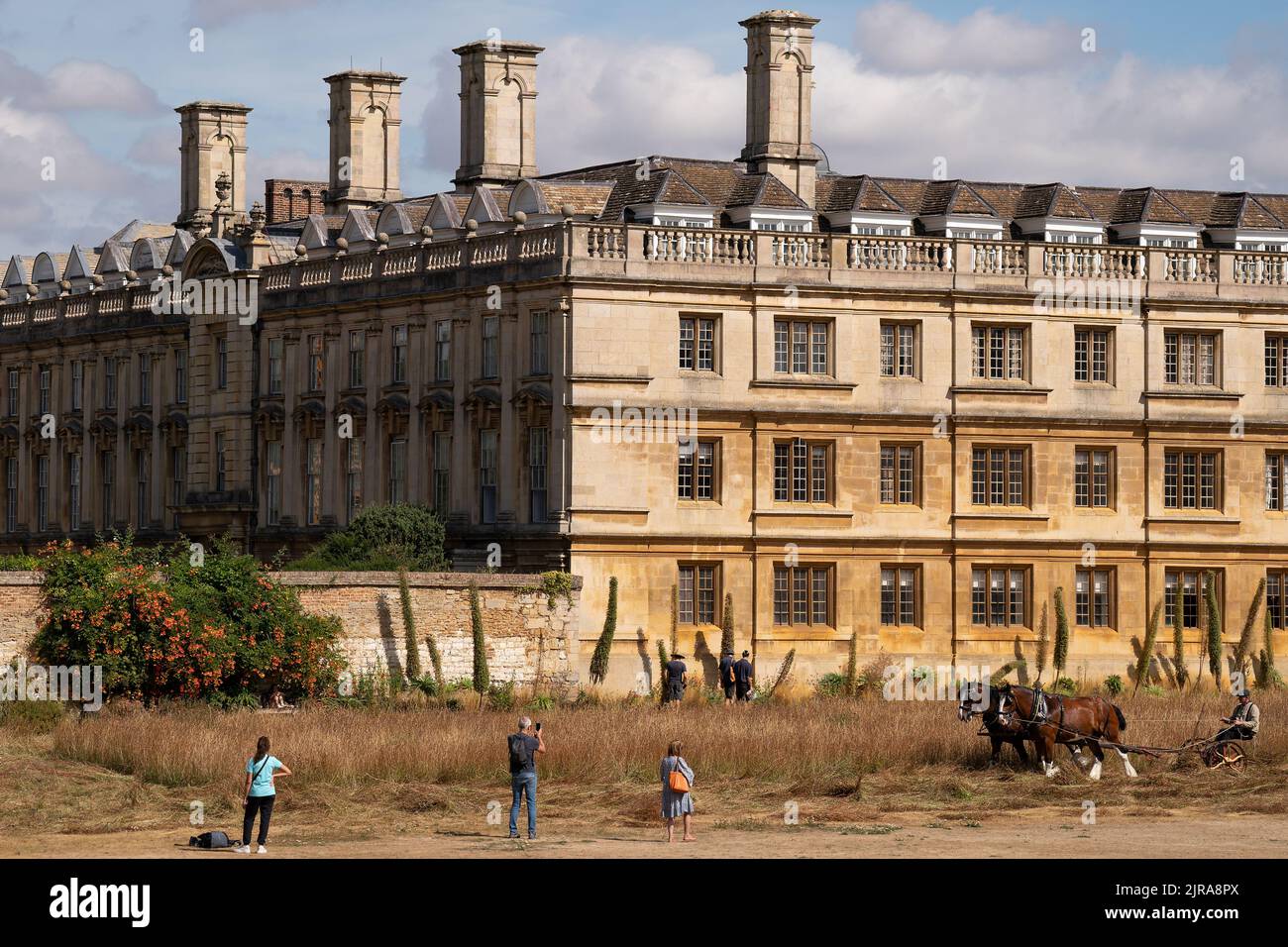 David Lawless working with shire horses Cosmo and Boy to harvest the ...