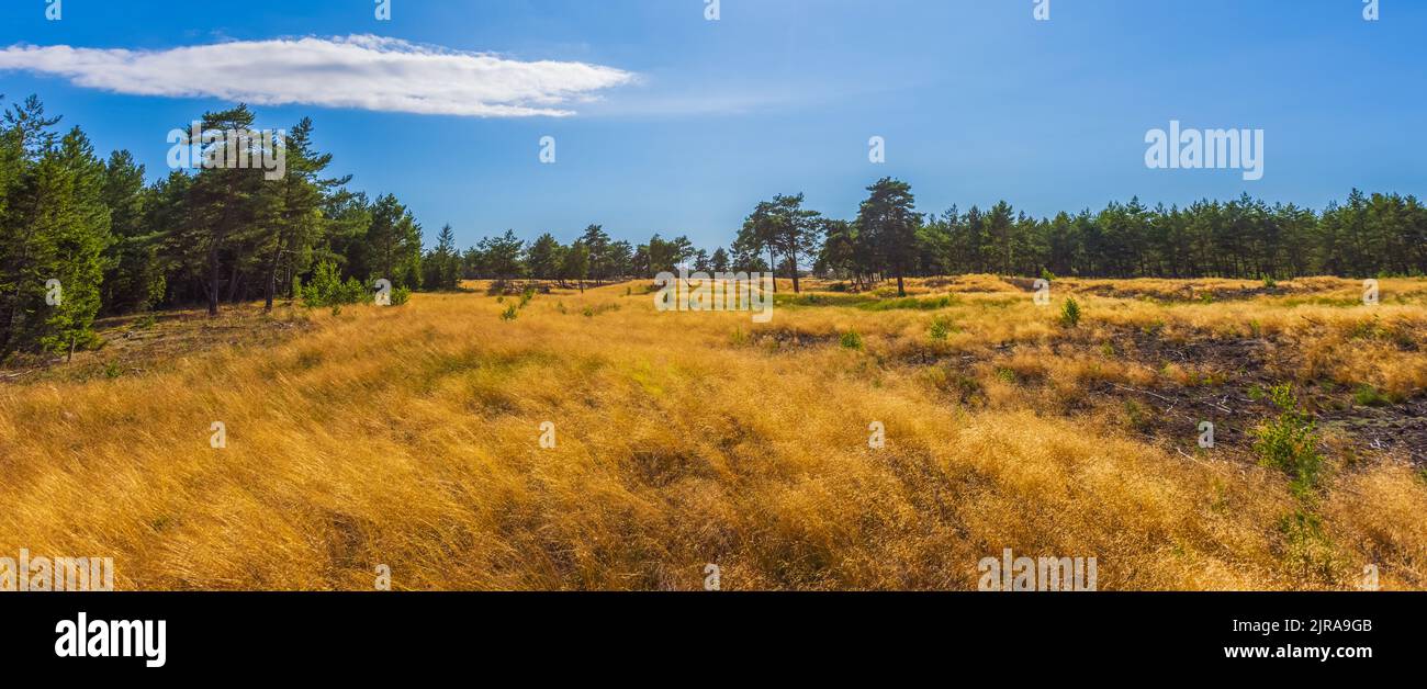 The desertic landscape of the Curonian Spit, Lithuania Stock Photo - Alamy