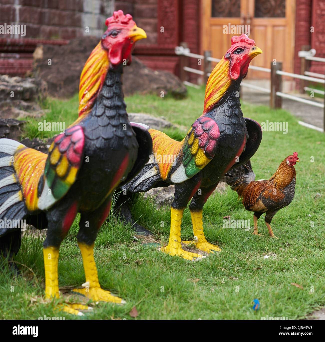 A real rooster poses by statues of roosters at a Thai temple Stock ...
