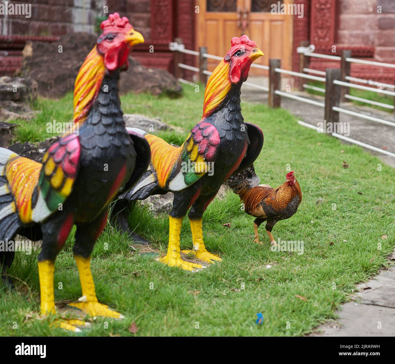 A real rooster poses by statues of roosters at a Thai temple Stock ...