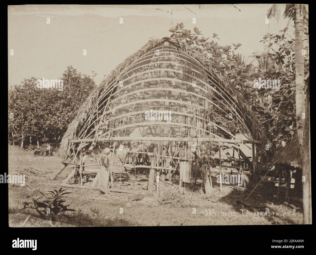 Group of men building a fale hi-res stock photography and images - Alamy