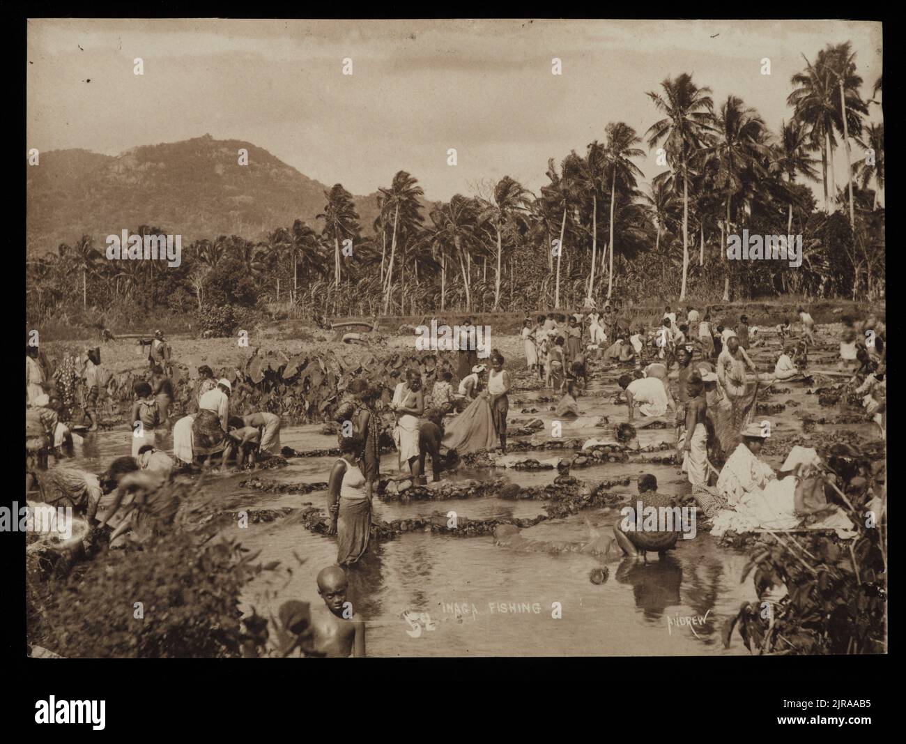 Inaga hi-res stock photography and images - Alamy