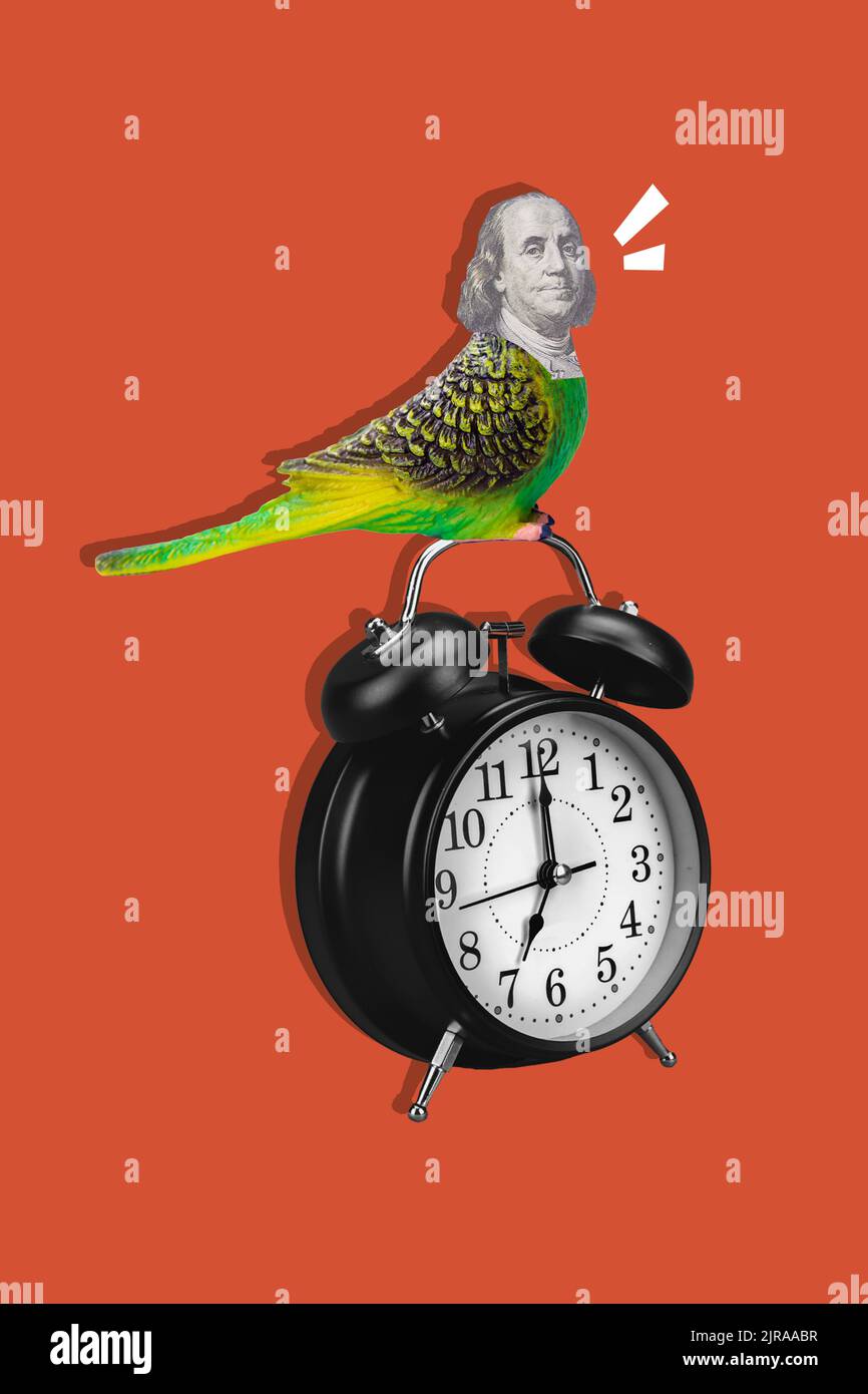 Creative 3d collage artwork postcard poster sketch of weird bird say ...