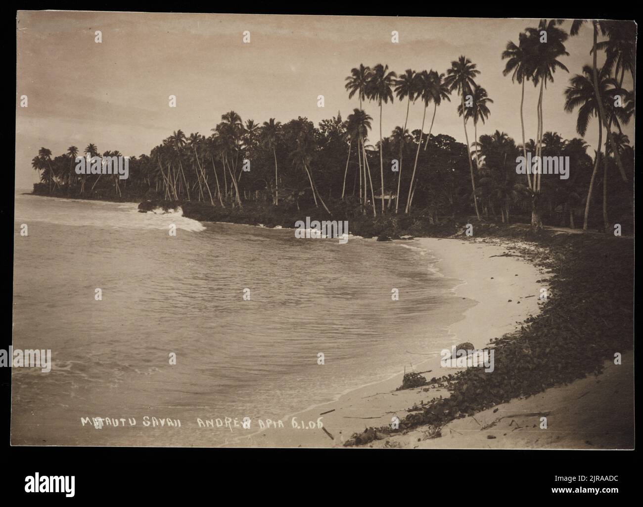 Matautu, Savai'i, 1906, Apia, by Thomas Andrew Stock Photo - Alamy