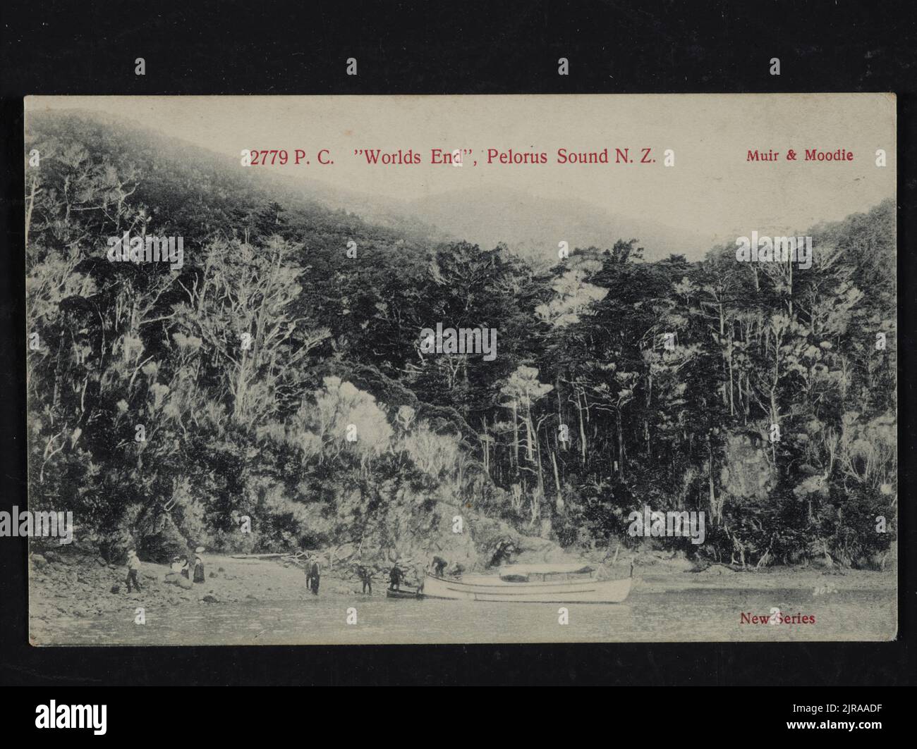 World's End, Pelorus Sound, New Zealand, 1906, Nelson, by Muir & Moodie ...