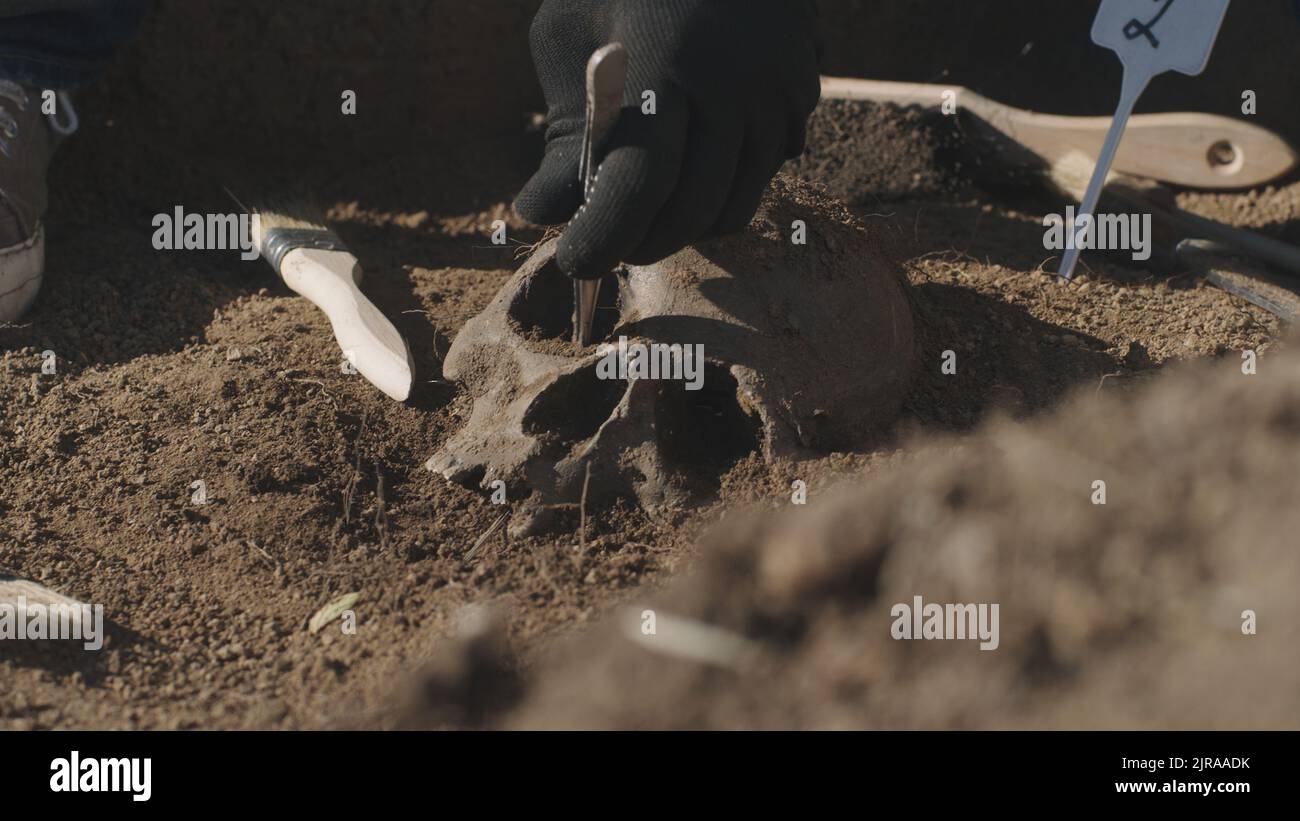 High angle of anonymous person in gloves using tweezers and brush to ...