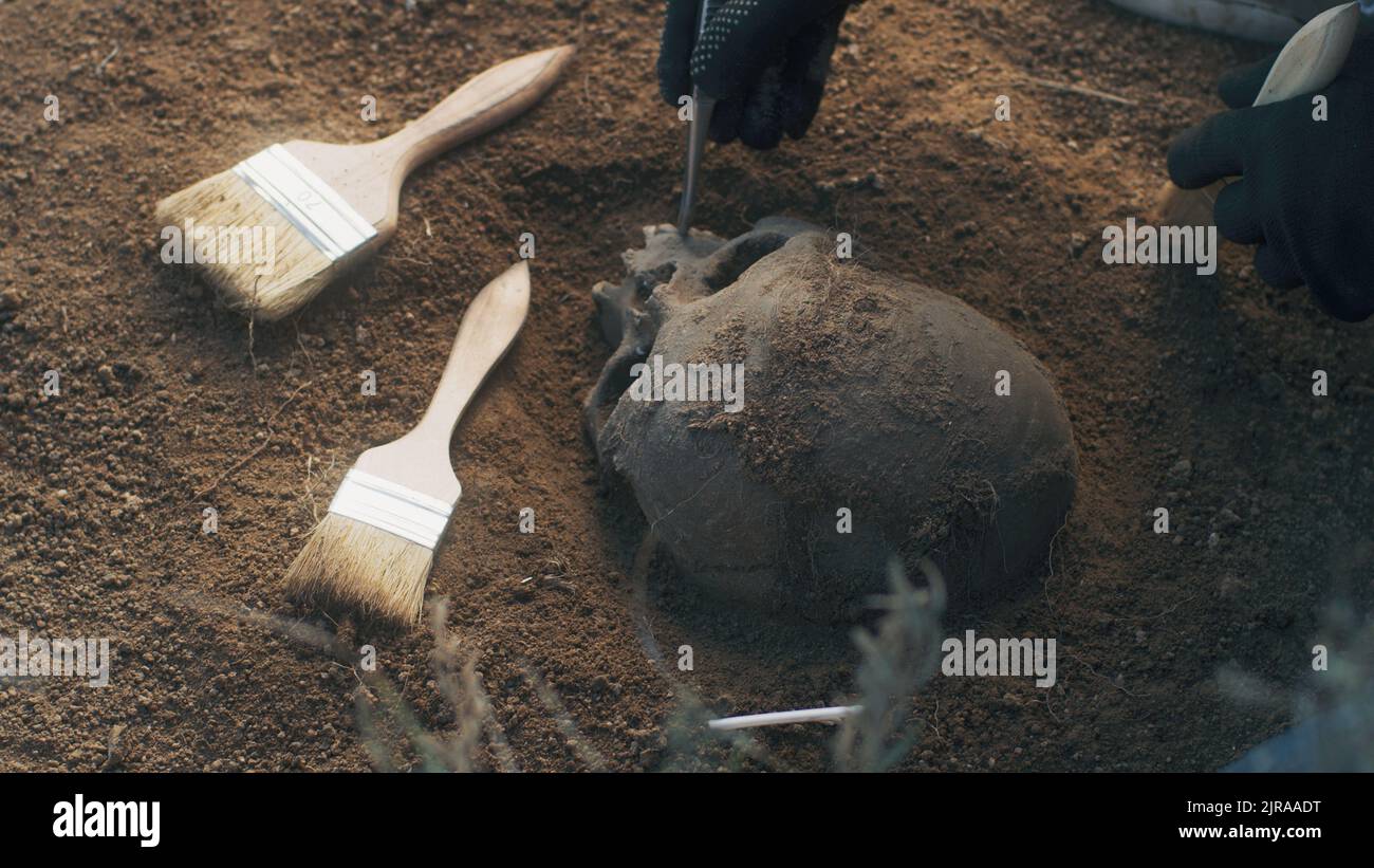 Human skeleton in sand hi-res stock photography and images - Alamy