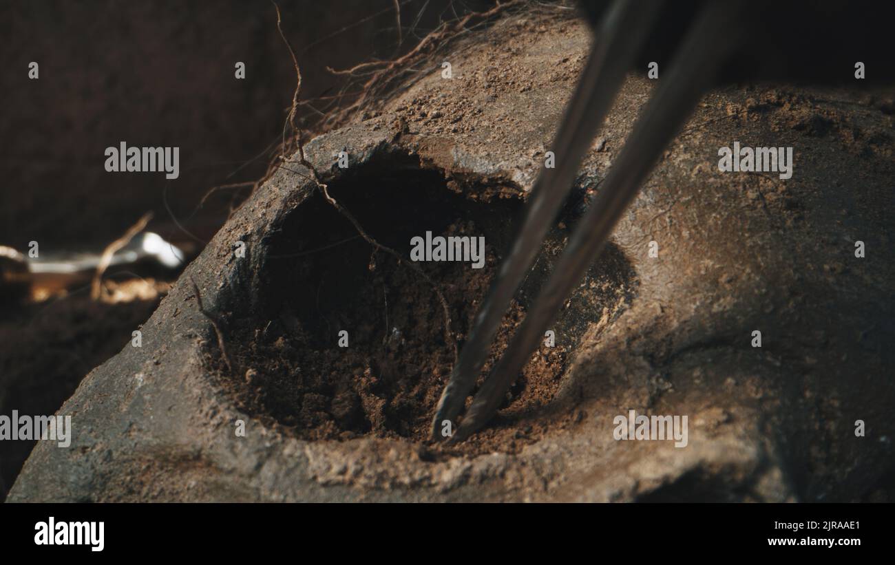 Closeup anonymous person cleaning eye pit of human skull from sand ...