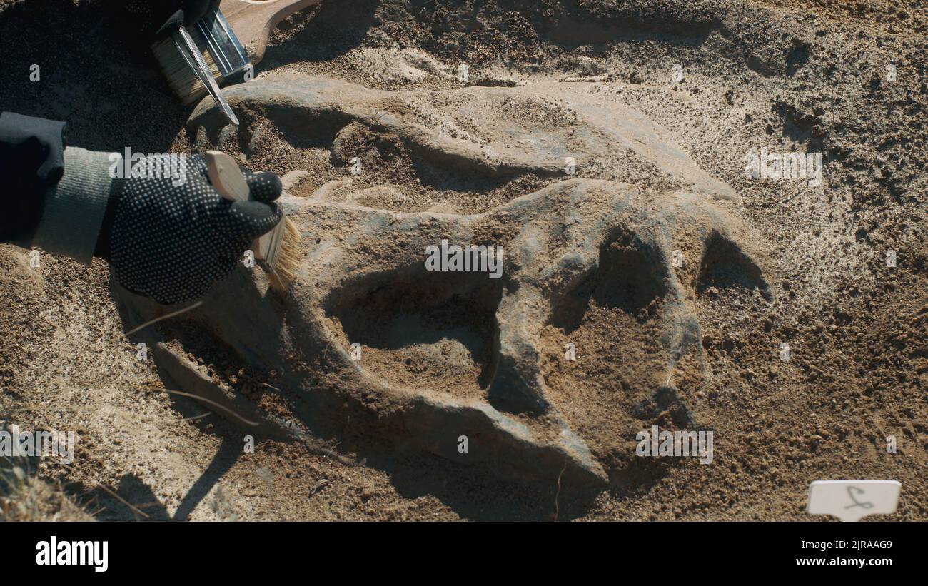 From above crop person in gloves using bush and tweezers to dig out ...