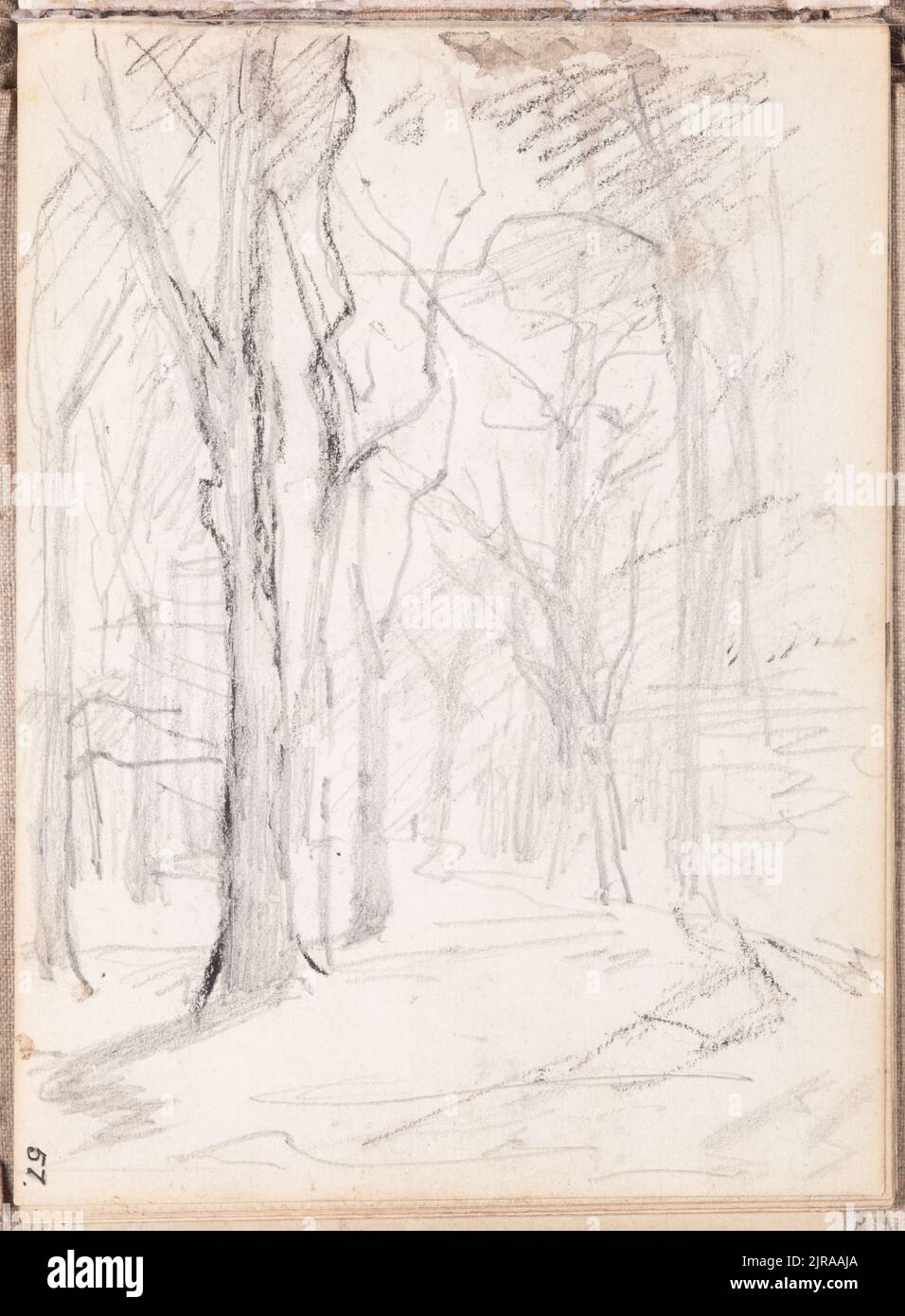 Landscape sketch of pathway through some trees from hi-res stock ...