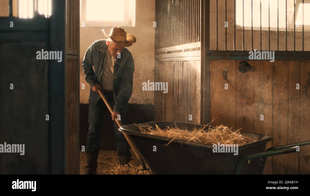 Elderly man in straw hat picking hay from stall floor and filling ...