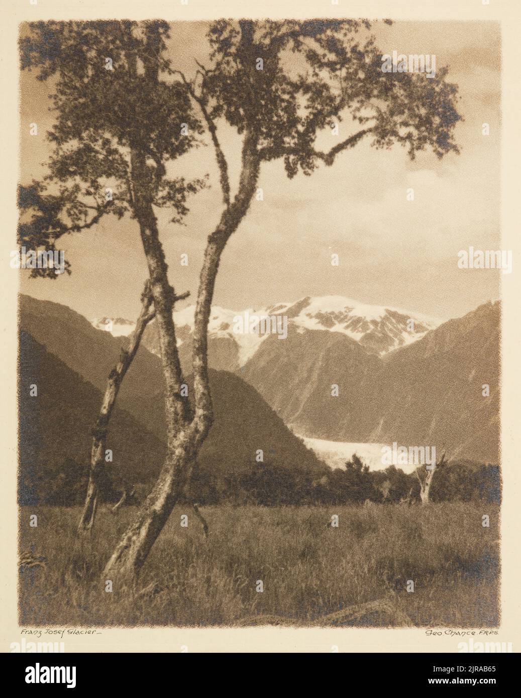 Franz Josef Glacier, 1920s-1930s, Dunedin, by George Chance Stock Photo ...