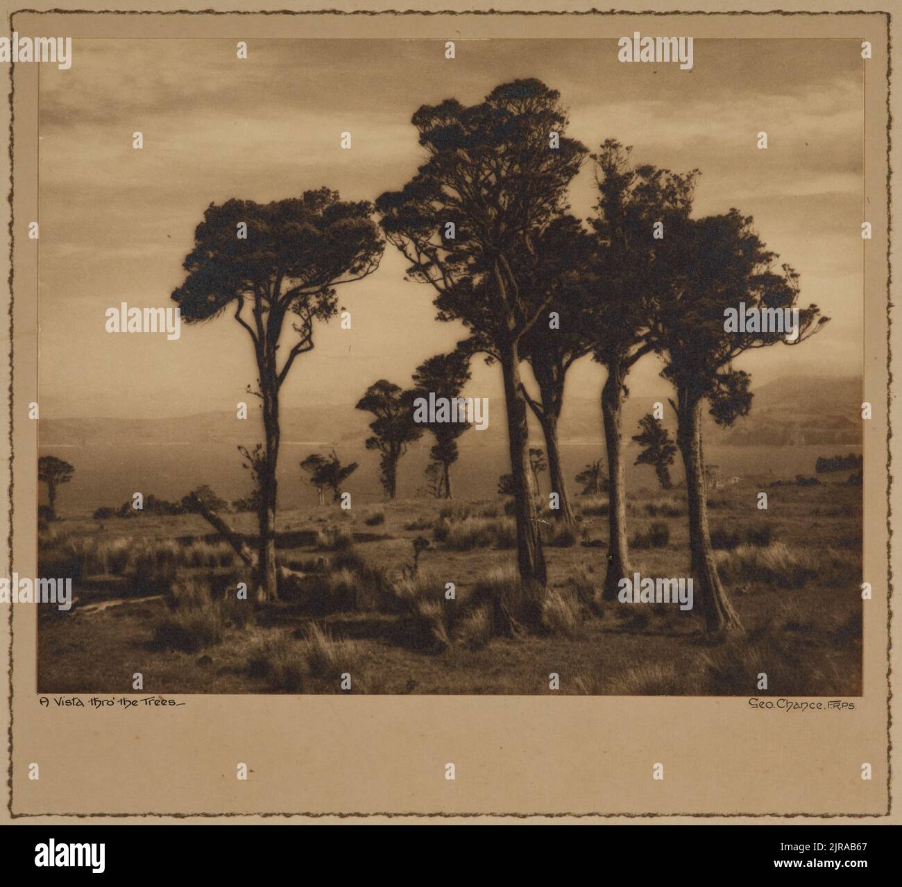 What a vista hi-res stock photography and images - Alamy