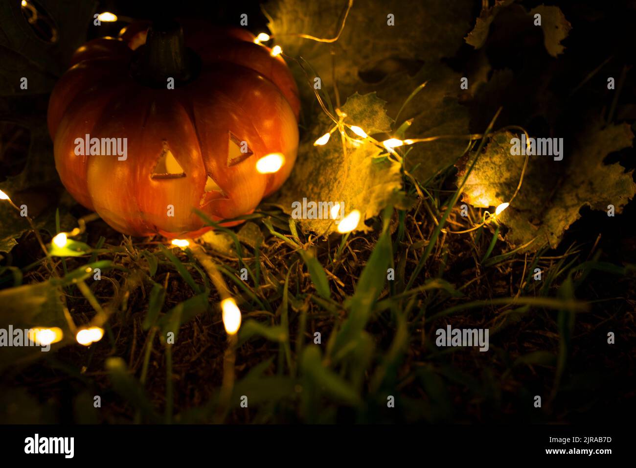Halloween pumpkin lit on grass and leaves surrounded by string lights ...