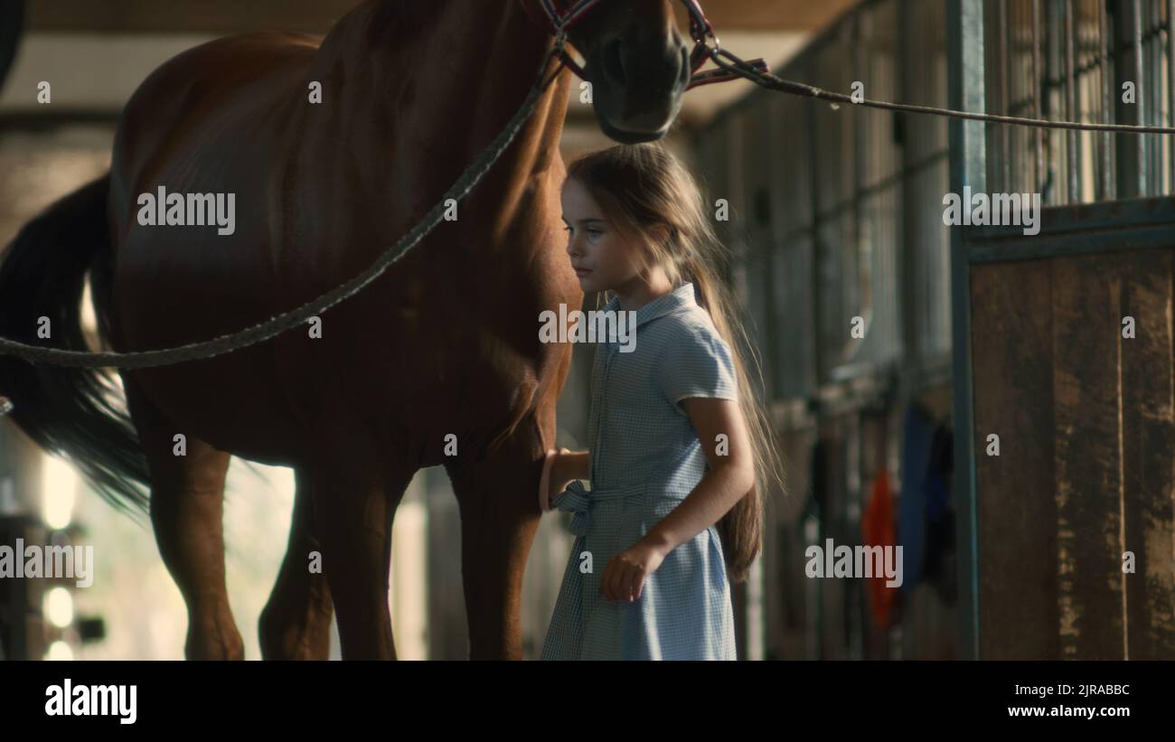Little girl in blue dress cleaning coat of chestnut horse with brush in ...