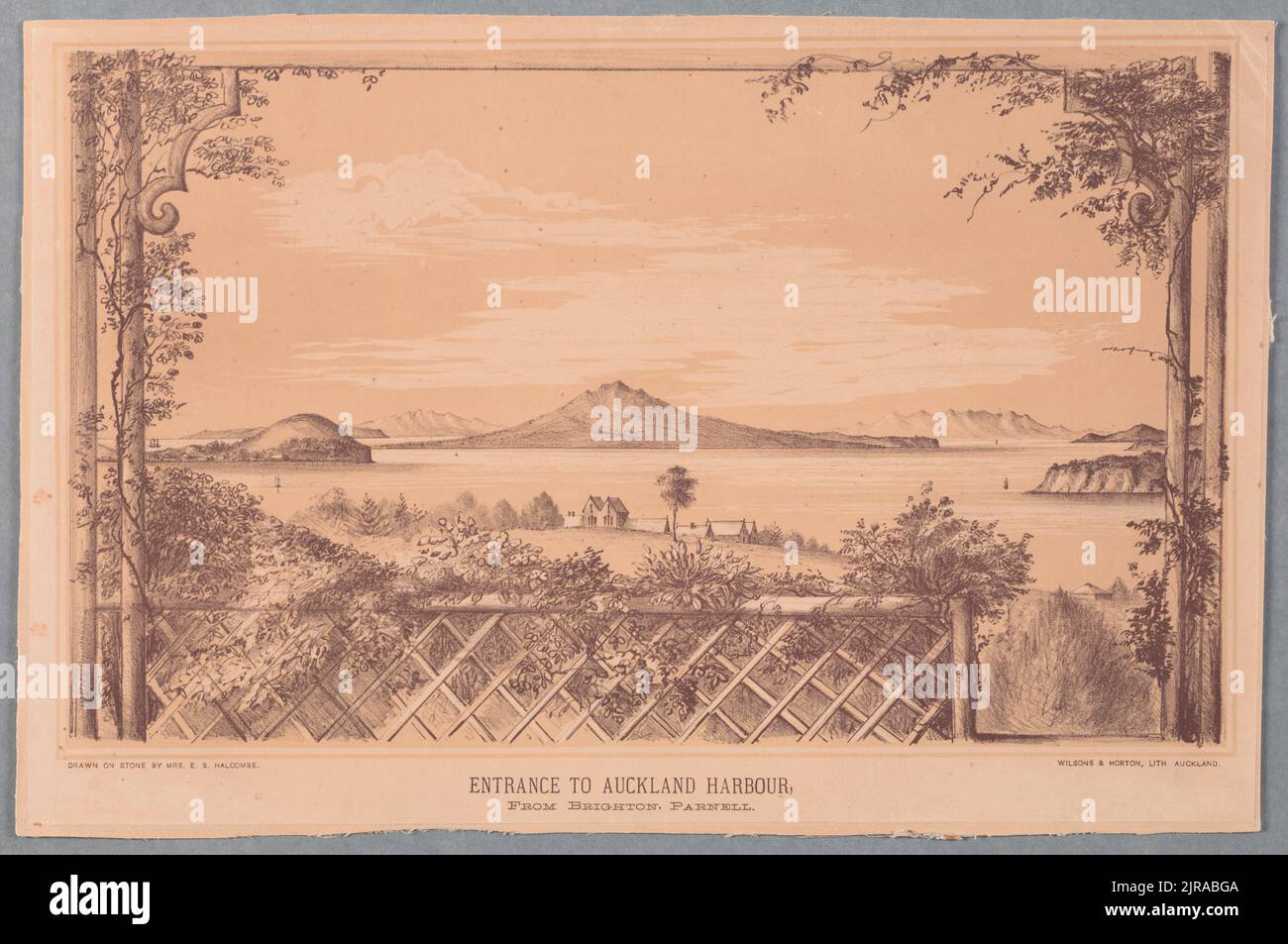 Entrance to auckland harbour from brighton hi-res stock photography and ...