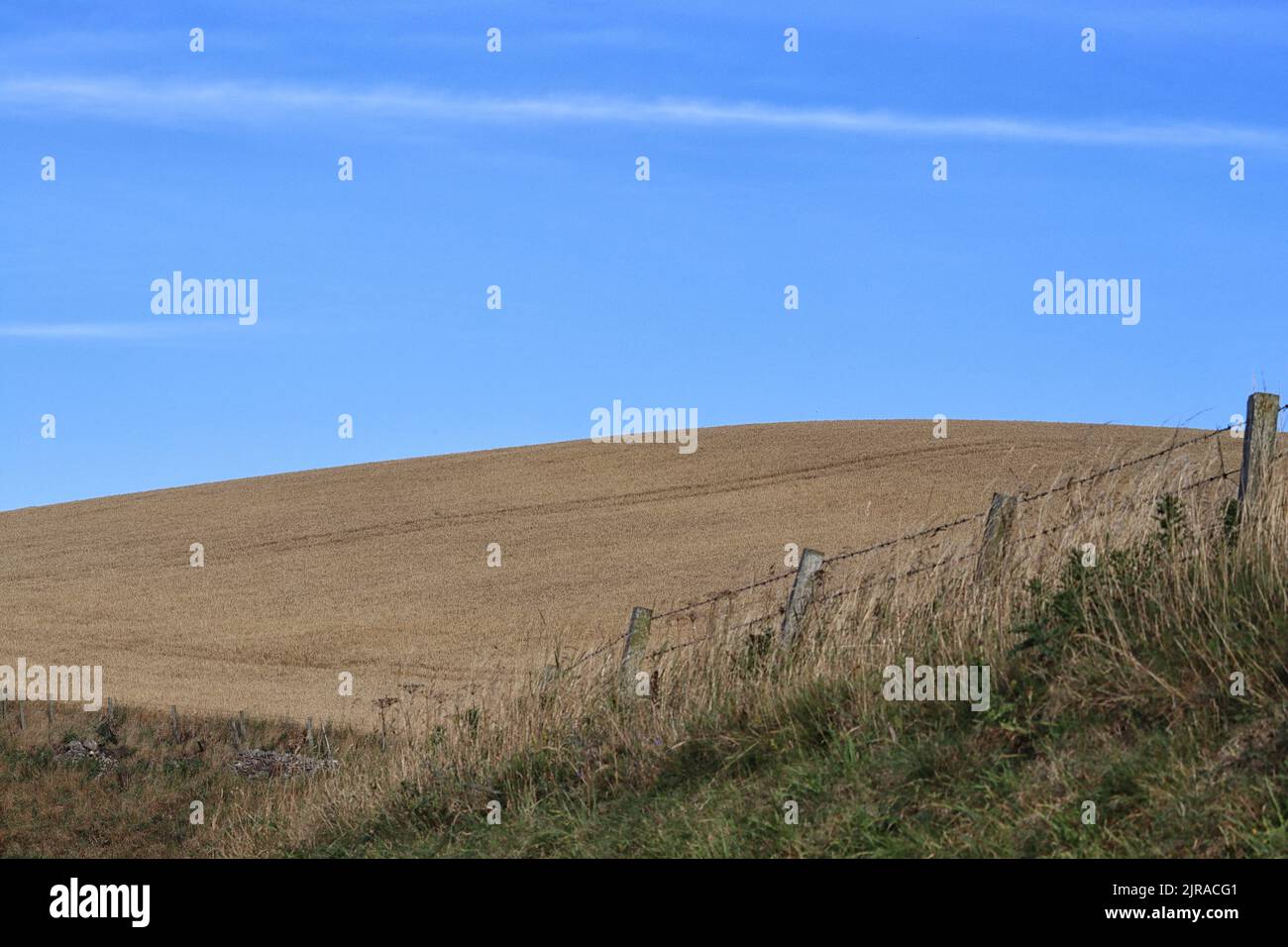 Field of crops and fence Stock Photo - Alamy