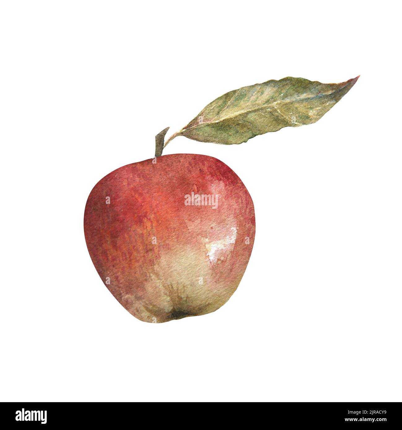 Watercolor illustration of red appetizing apple with green leaves ...