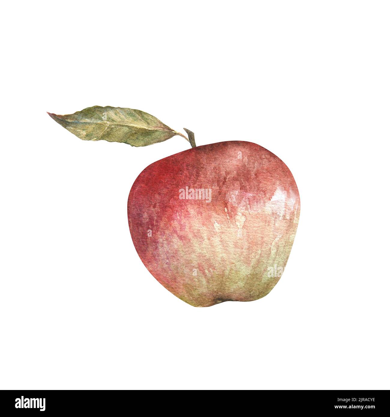 Watercolor illustration of red appetizing apple with green leaves ...