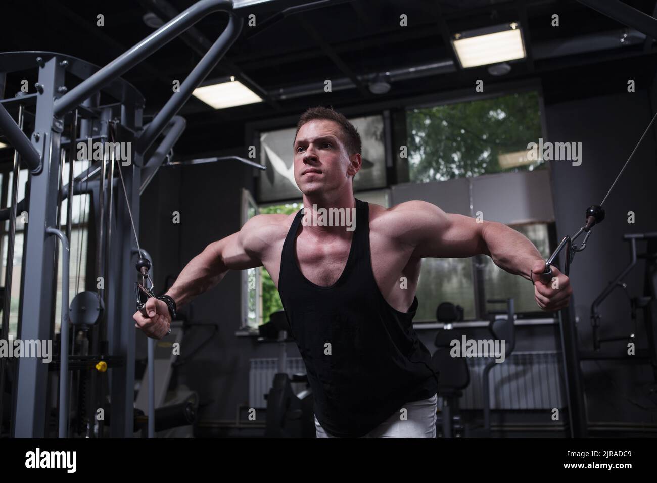 Male bodybuilder looking focused, doing chest exercise in cable ...