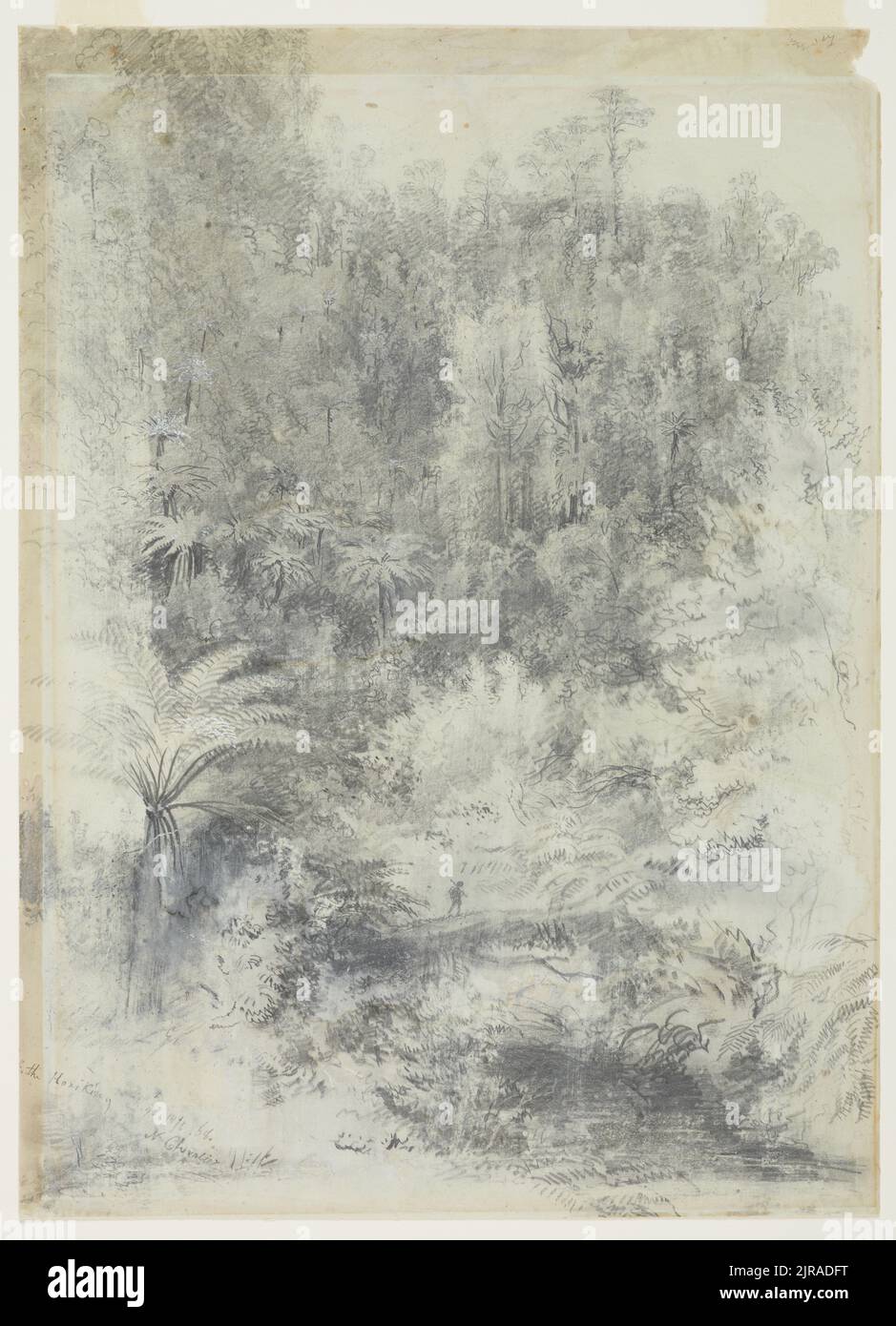 The Horokiwi (the Horokitui Road), 1868, by Nicholas Chevalier. Gift of ...