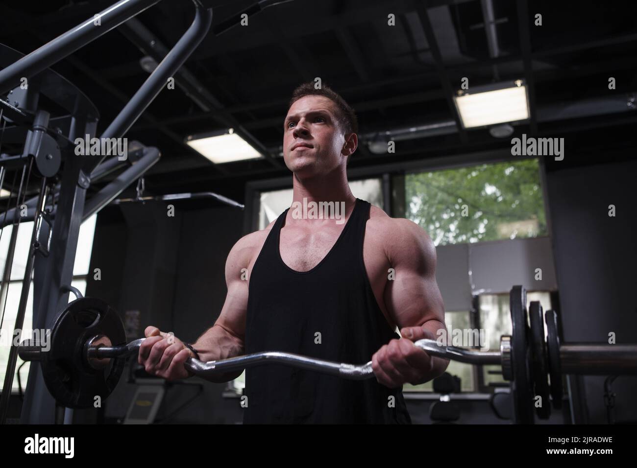 Low angle shot of a ripped focused male sportsman training with ez curl ...