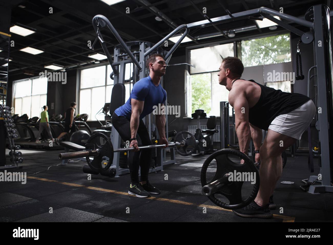 Twin brothers bodybuilders doing barbell deadlift exercise, standing ...