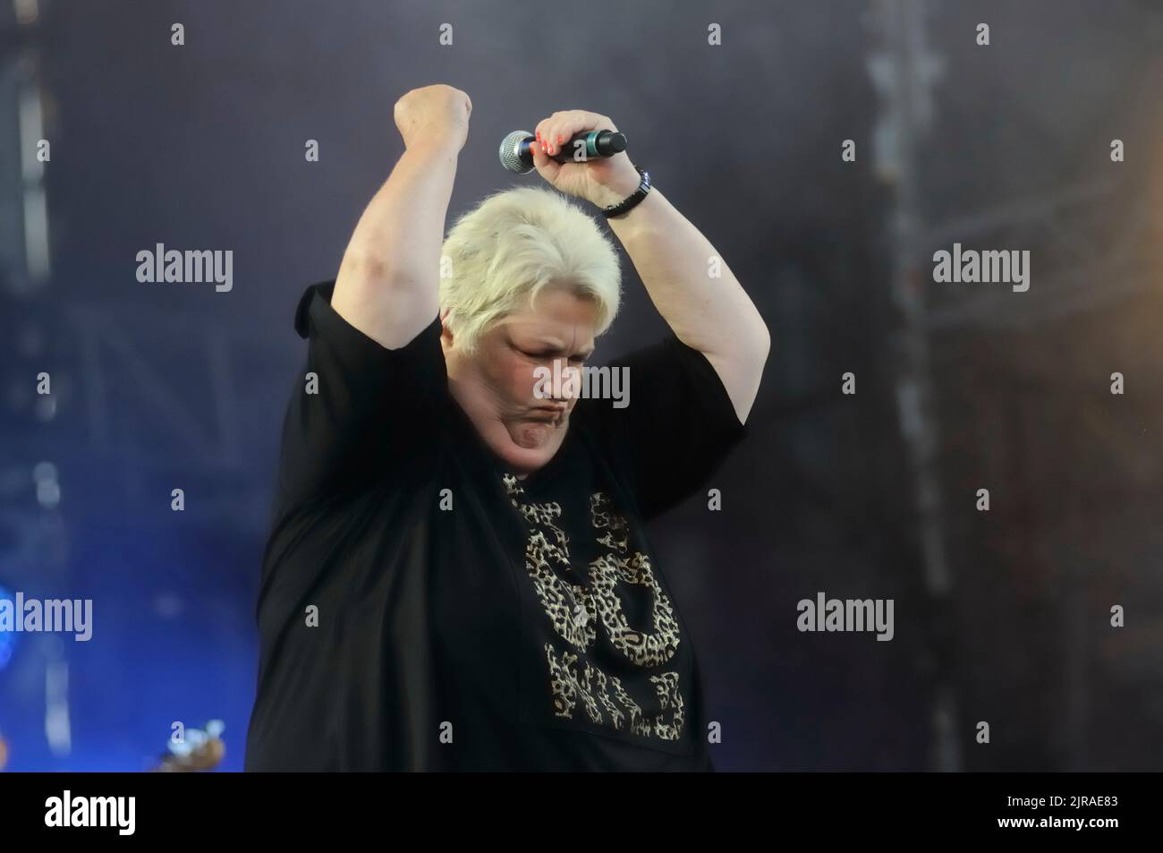 Vienna, Austria. June 23, 2012. The Austrian singer Stefanie Werger ...