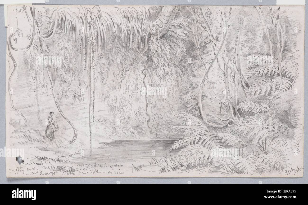 Dripping well in Mr Dewe's Bush near Tokomairiro, 1865, Milton, by ...