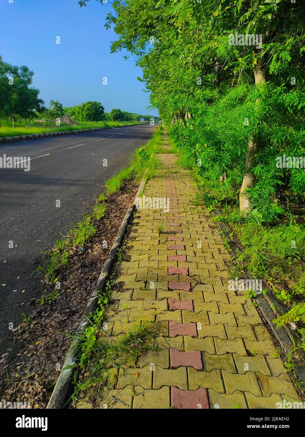 A Beautiful Shot Concrete Block Footpath Road Side In The Park Photo ...