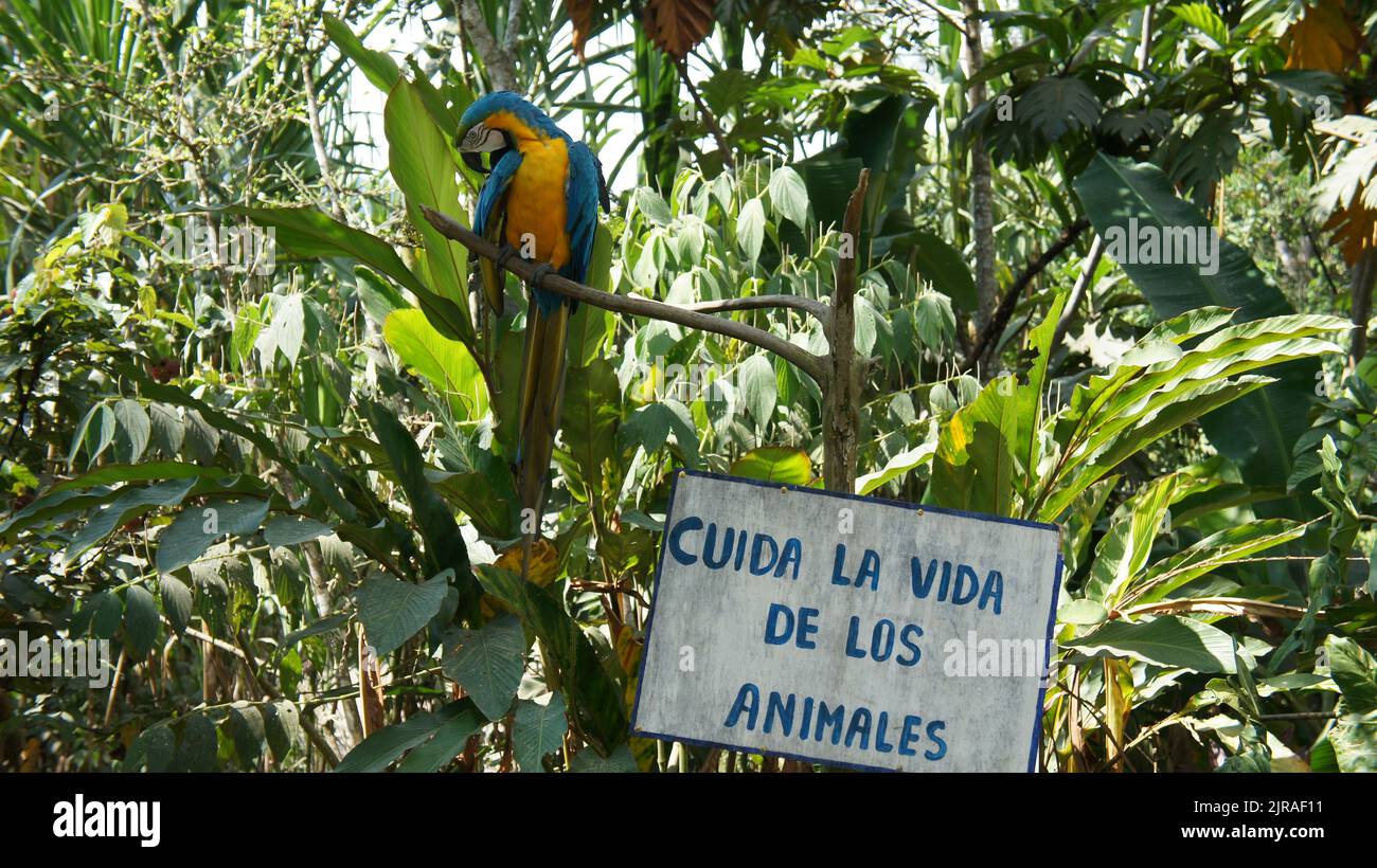 Parrot Jungle Sign Stock Photo - Alamy