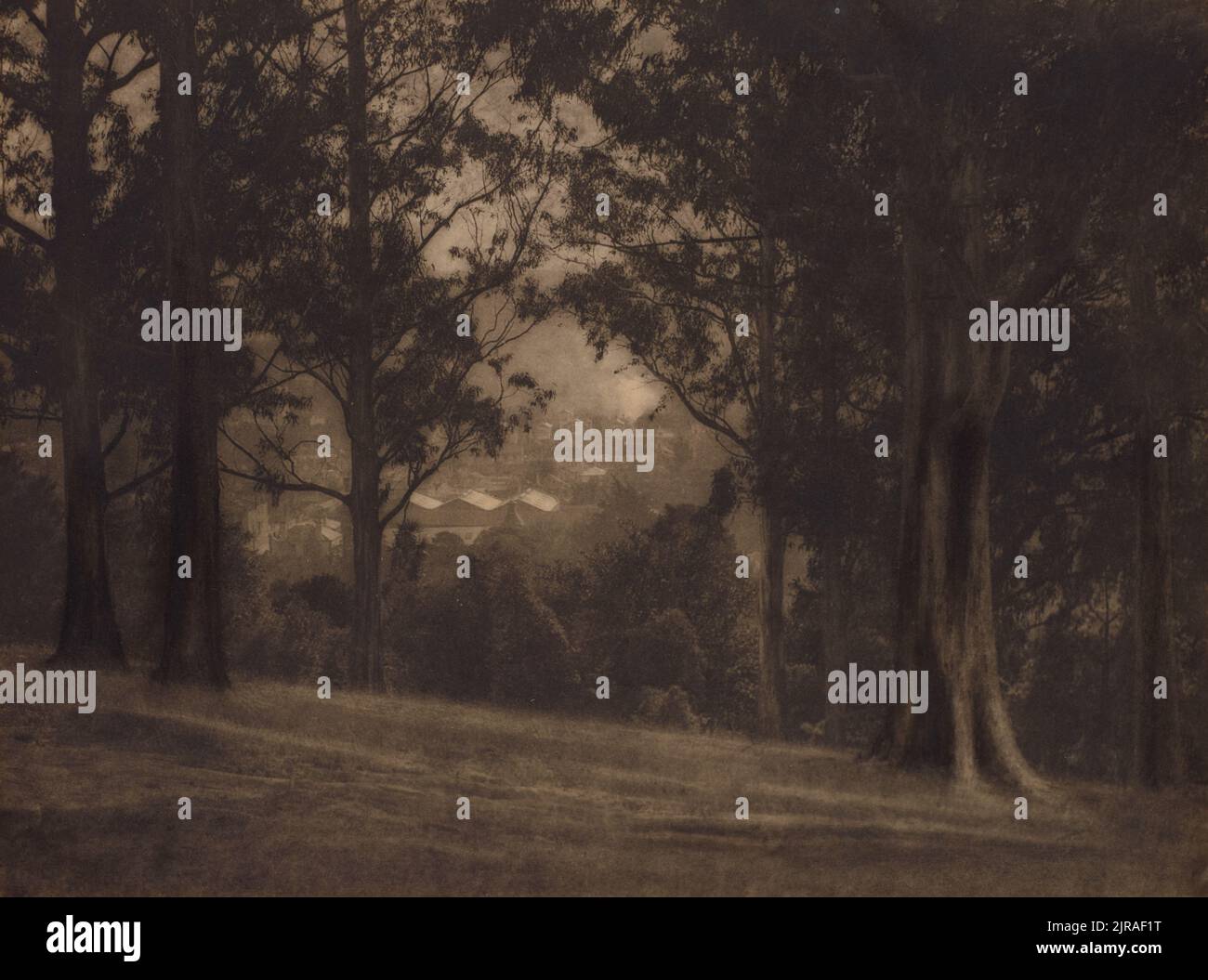 Sleepy hollow, 1920-1930, Dunedin, by Edward Robson Stock Photo - Alamy