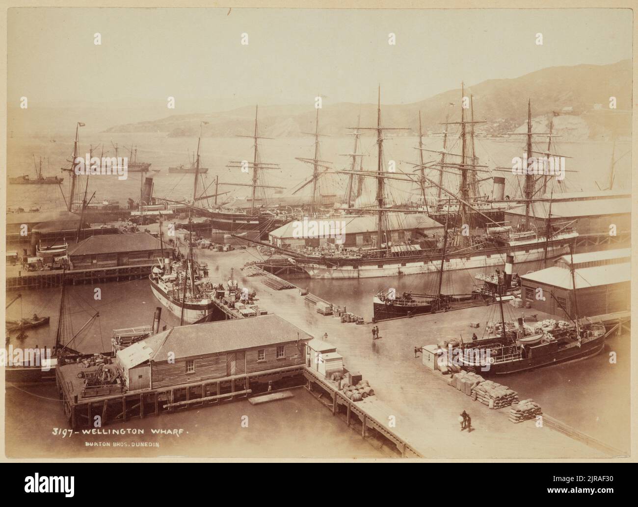 Wellington Wharf, circa 1890, Wellington, by Burton Brothers Stock ...